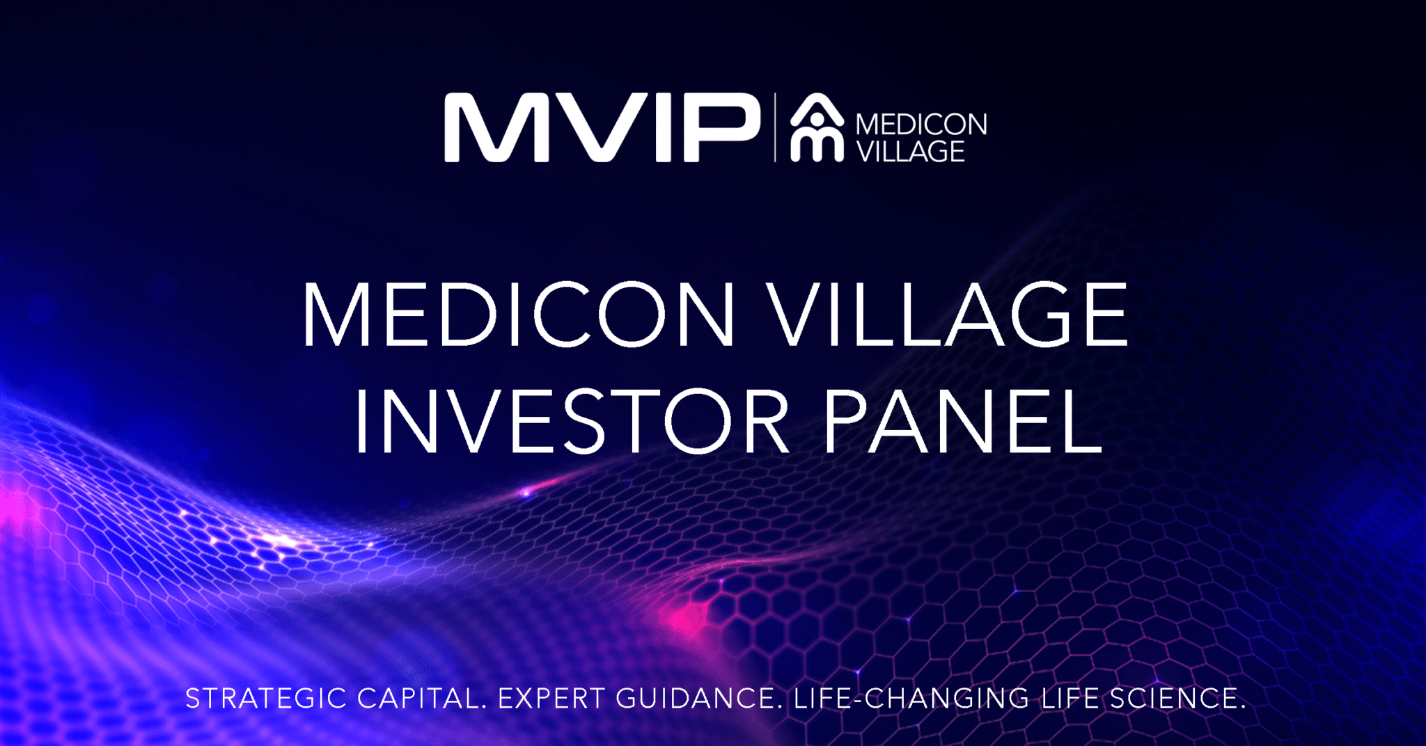 Introducing the investors participating in the 2025 investor panel ...