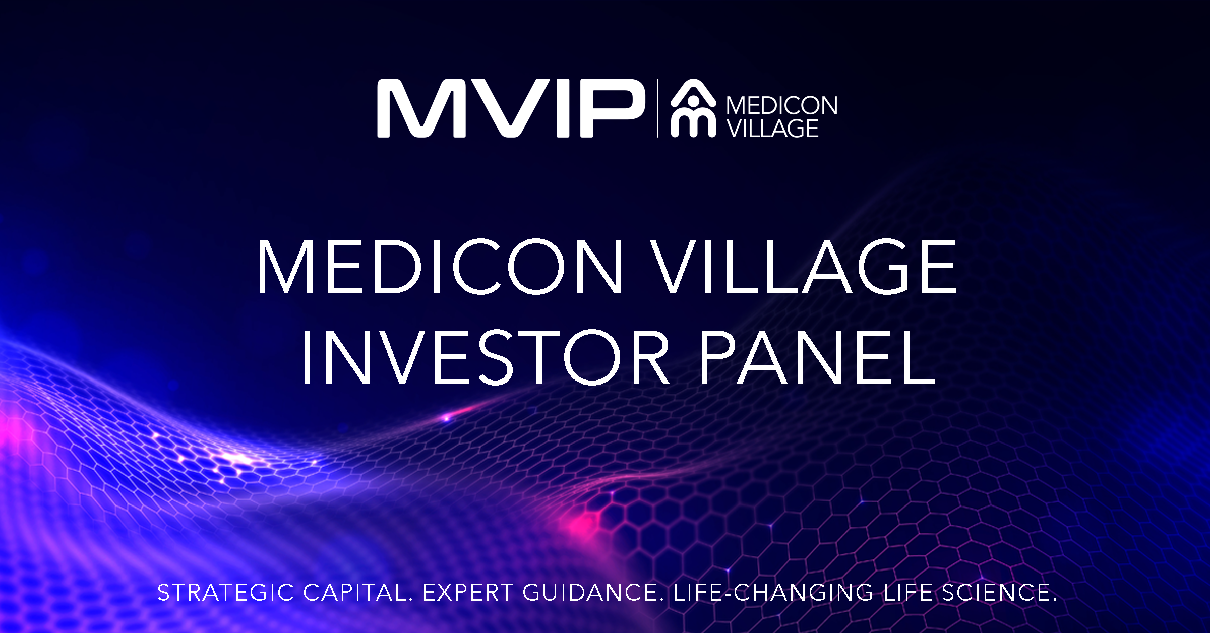 Introducing the investors participating in the panel - Medicon Village